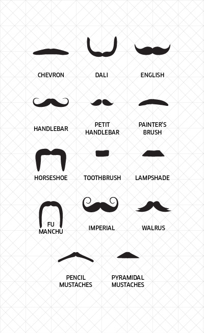 Forza Meyya - Begin, The Rest Is Easy: Types of mustache