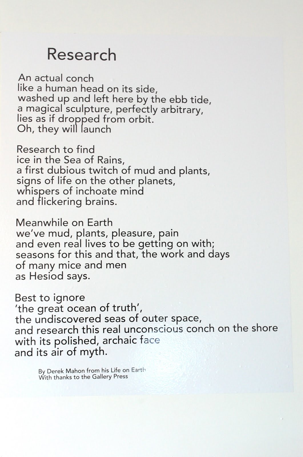 Ciara Harrison: Frances Lambe, ceramics artist