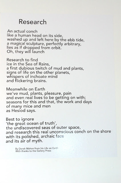 Ciara Harrison: Frances Lambe, ceramics artist