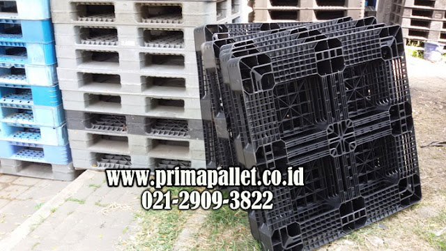 Harga Pallet Plastik Murah Berkualitas | Versatilda Review