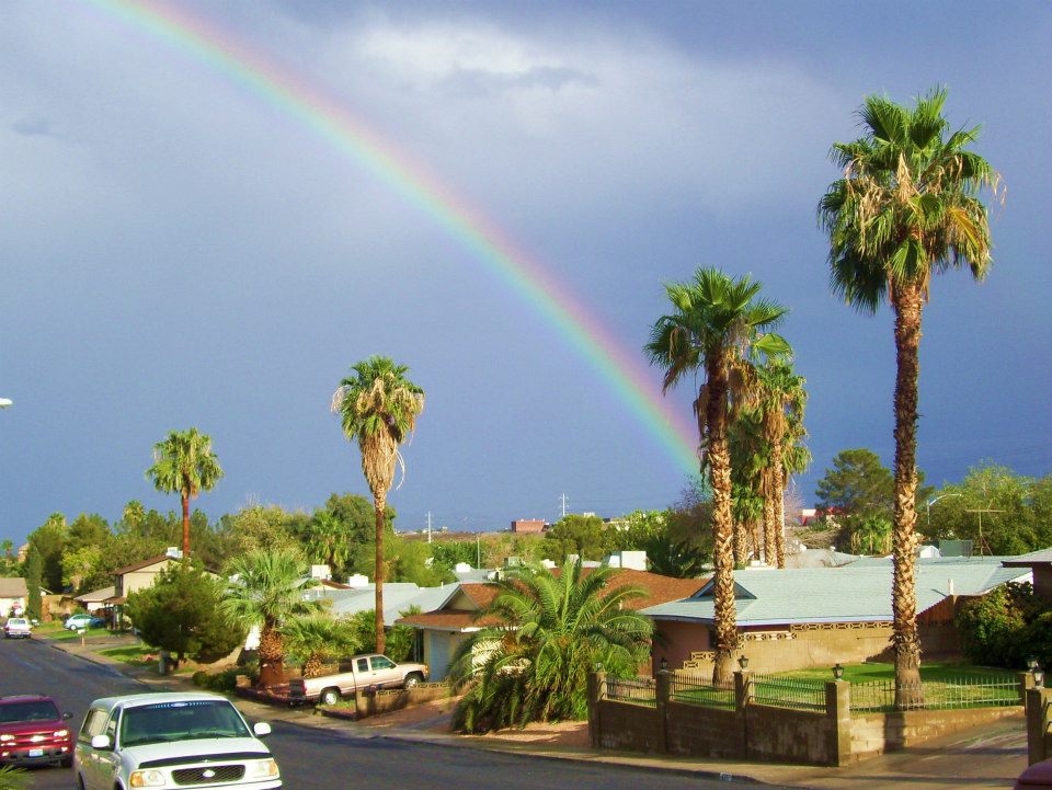 Lucy Pinon Training : The Different Types of Real Estate Sales