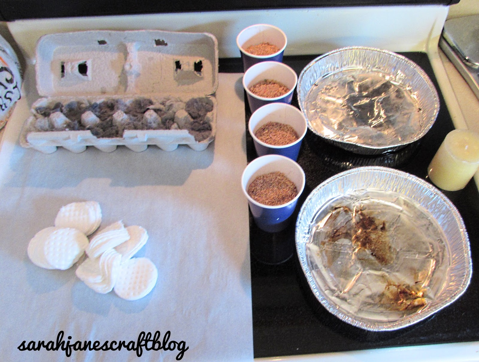 More Homemade Campfire Starters