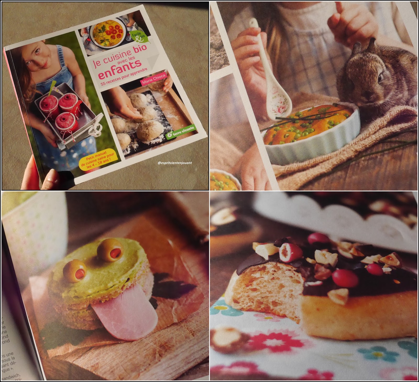 L'esprit vient en jouant: [Livre-cuisine] Je cuisine bio avec les ...