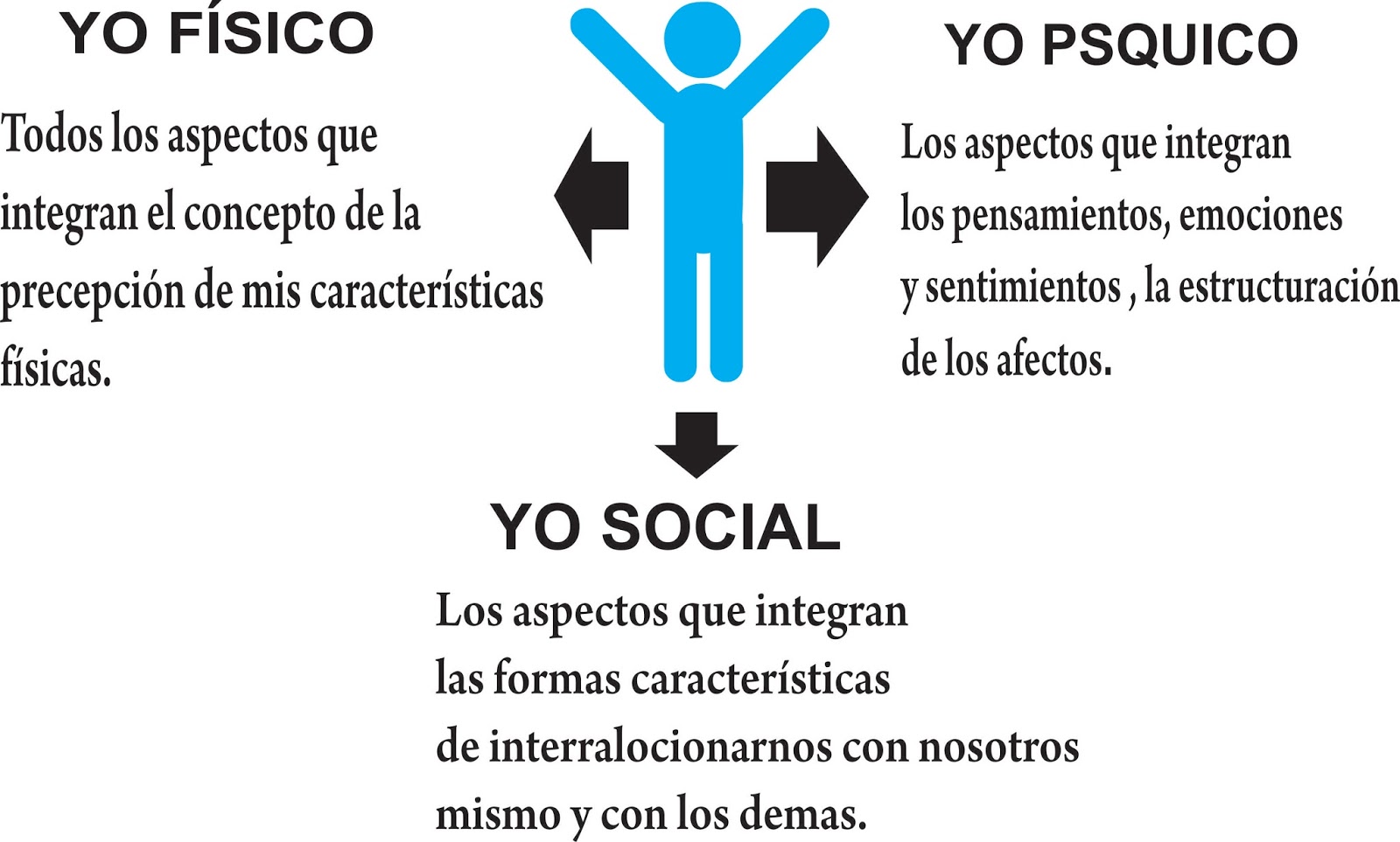 COMPONENTES DEL YO INTEGRAL