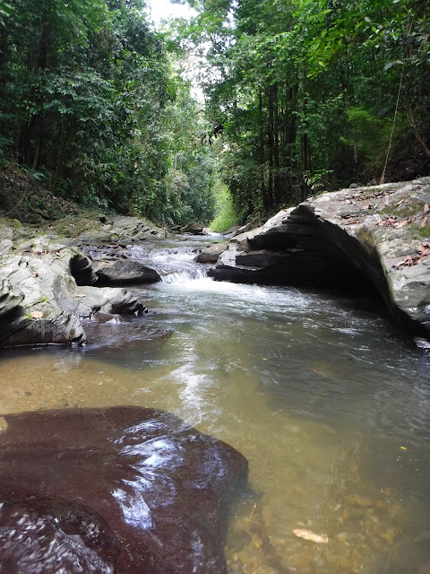 Hiking Avocat Waterfall and Three Pools - Trinidad north coast hikes