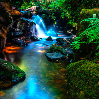Banco de Imágenes Gratis: 10 fotografías increíbles de reconocidos ...