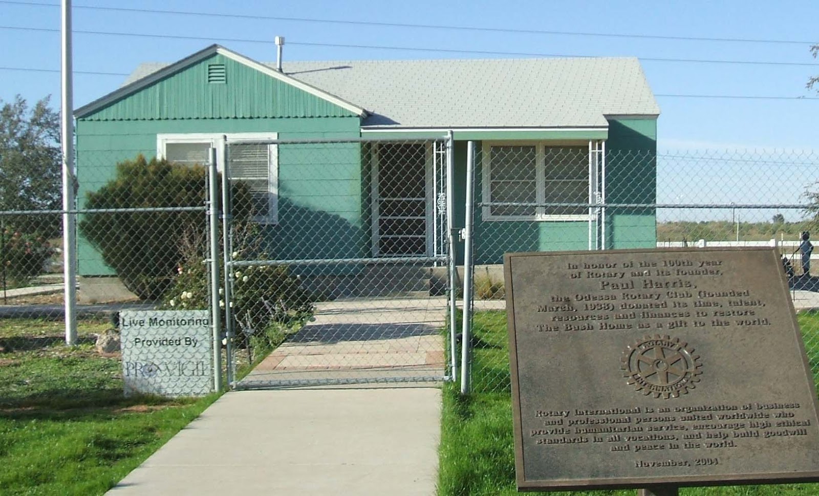 Freedom At 51: Rabbits Rabbits Rabbits