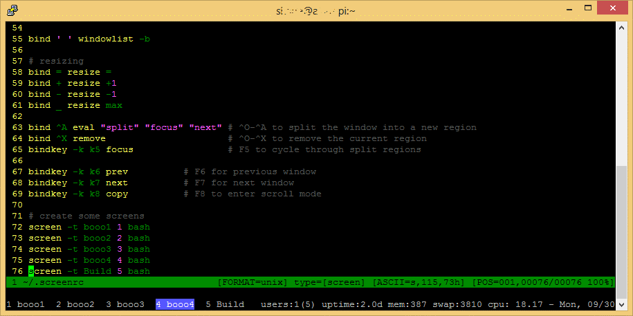 sealemar talks 0x43 0x6F 0x64 0x65: SSH - a life behind Screen