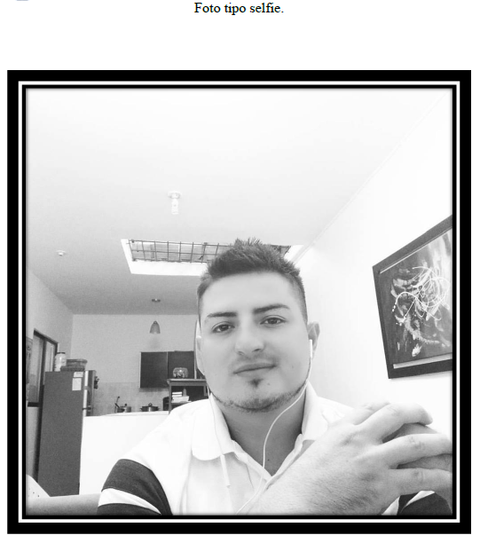 APORTES A LAS COMPETENCIAS COMUNICATIVAS.: El autorretrato.