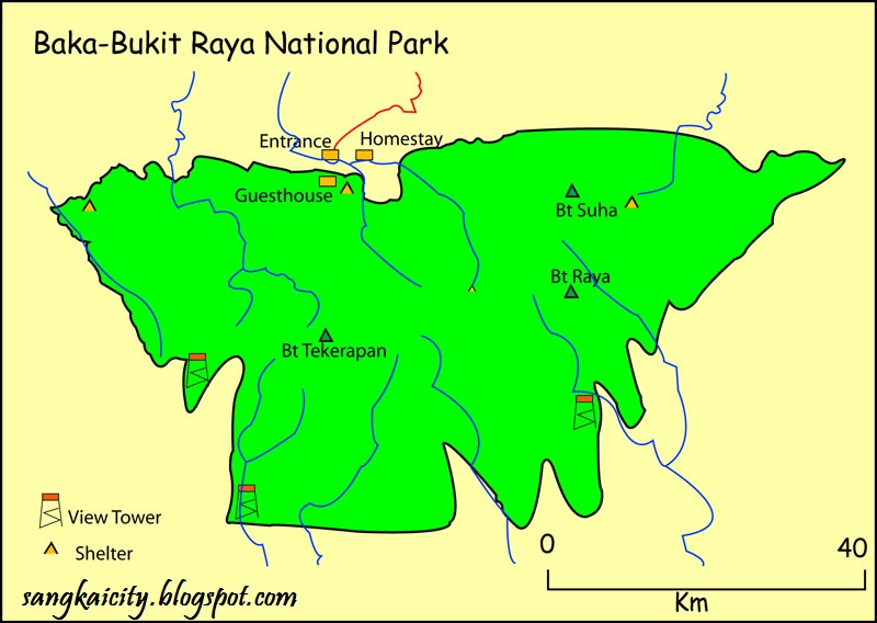 Taman Nasional Bukit Baka Bukit Raya (TNBBBR) | Sangkay City