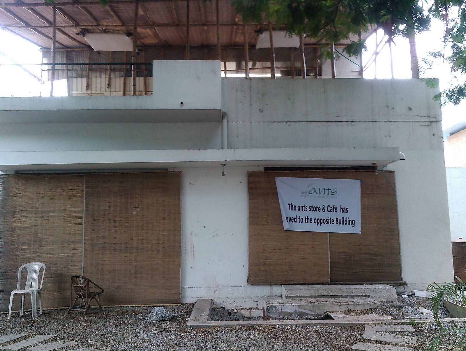 GeoffBee: The Ants Cafe