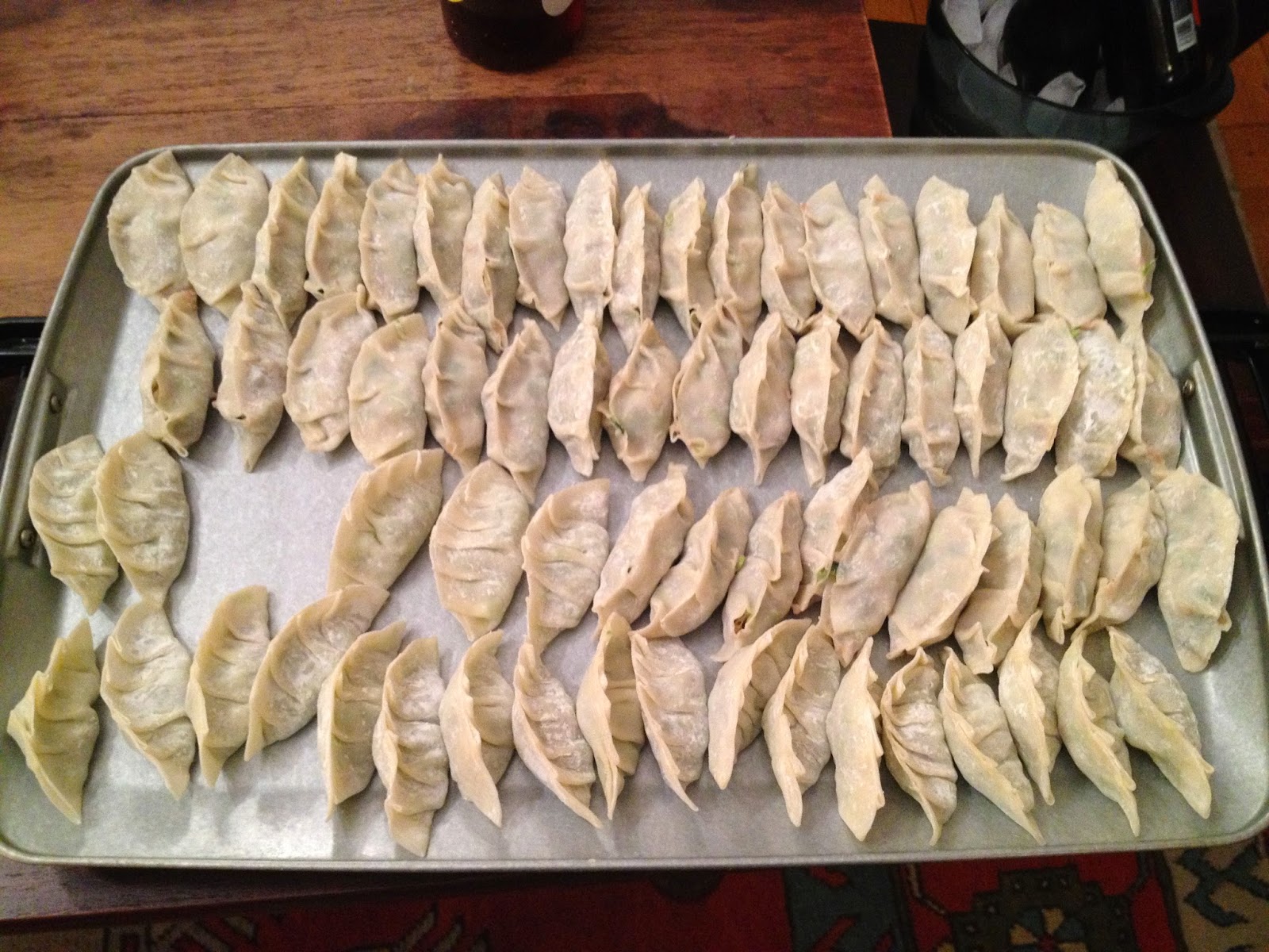 Homemade Gyoza Party