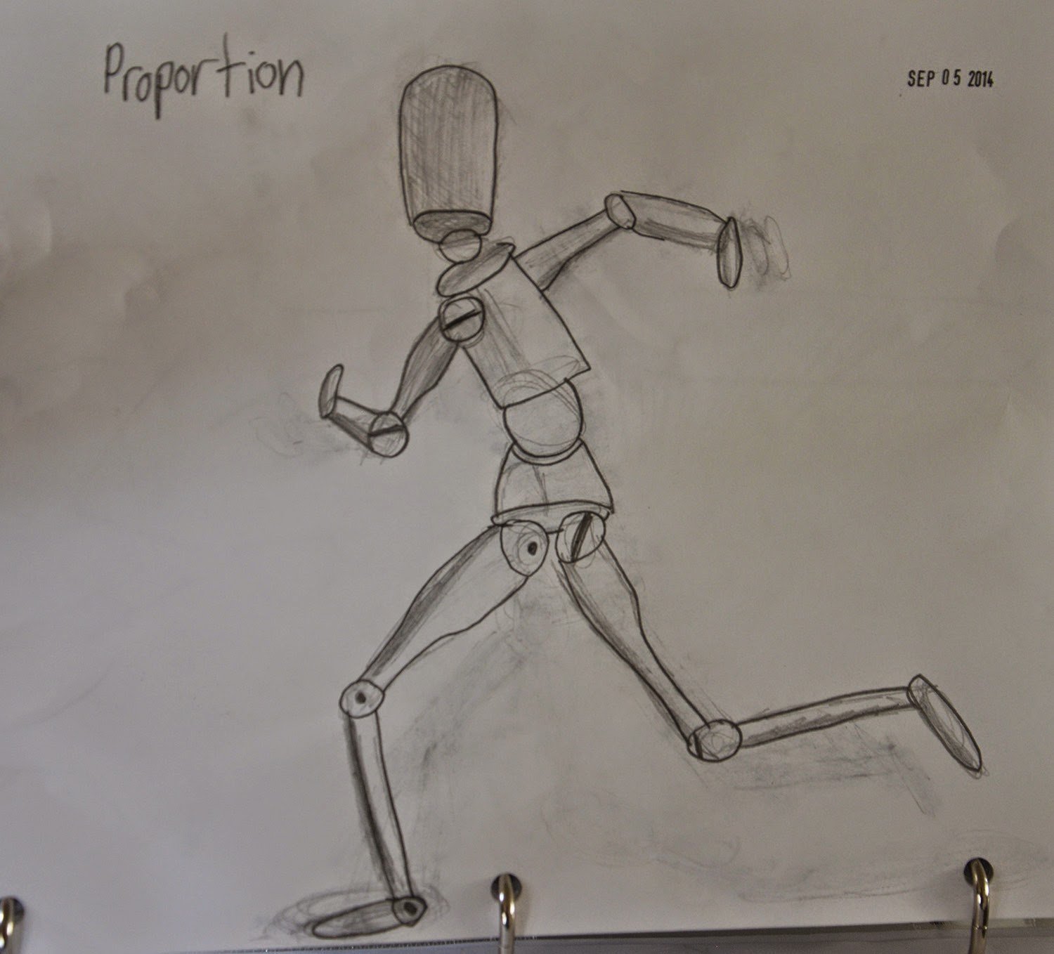 A school of fish: Proportion Drawings