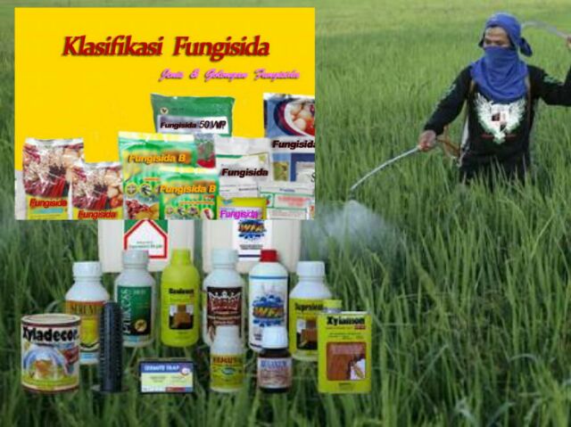 Perbedaan Pestisida Dan Fungisida Yang Perlu Kita Tahu - Khasiat Dan ...