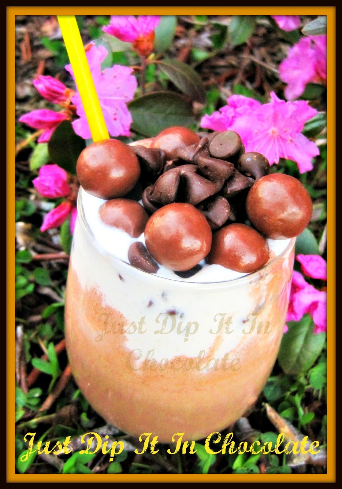 Just Dip It In Chocolate: Classic Chocolate Malt