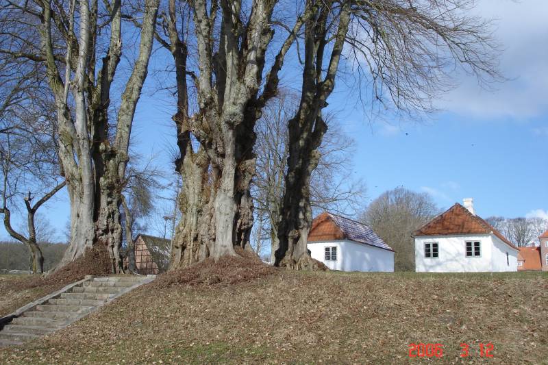 Foreningen De fem Halder: En, to tre, fire og fem Halder