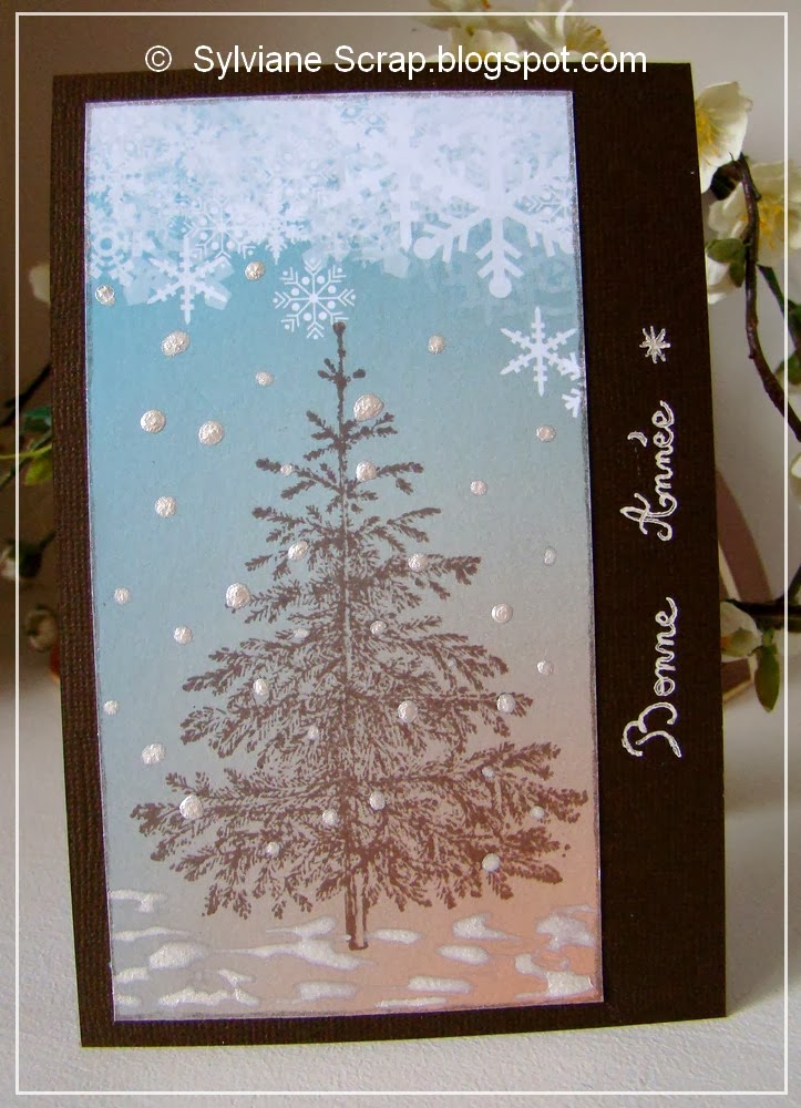 SYLVIANE SCRAP: Cartes de fin d'année 2013