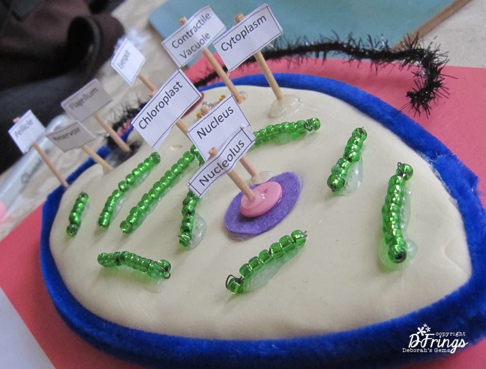 Deborah's Gems: School project ....