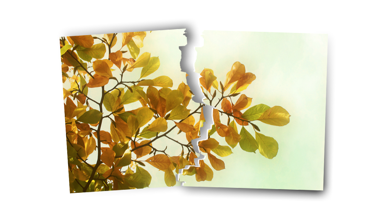 W Arte Pop: Efeito de Foto Rasgada no Corel Photo Paint