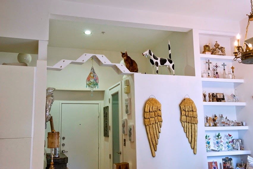 Cat and DOG Chat With Caren: Get "CATIFIED!" Enter to win Catification ...