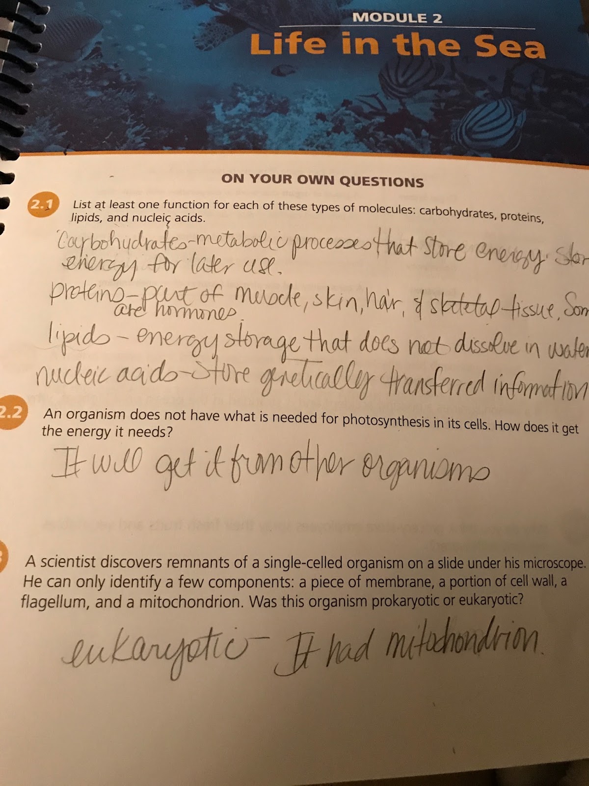 ABC's and Sweet Tea: Marine Biology 2nd Edition Advantage Set from ...