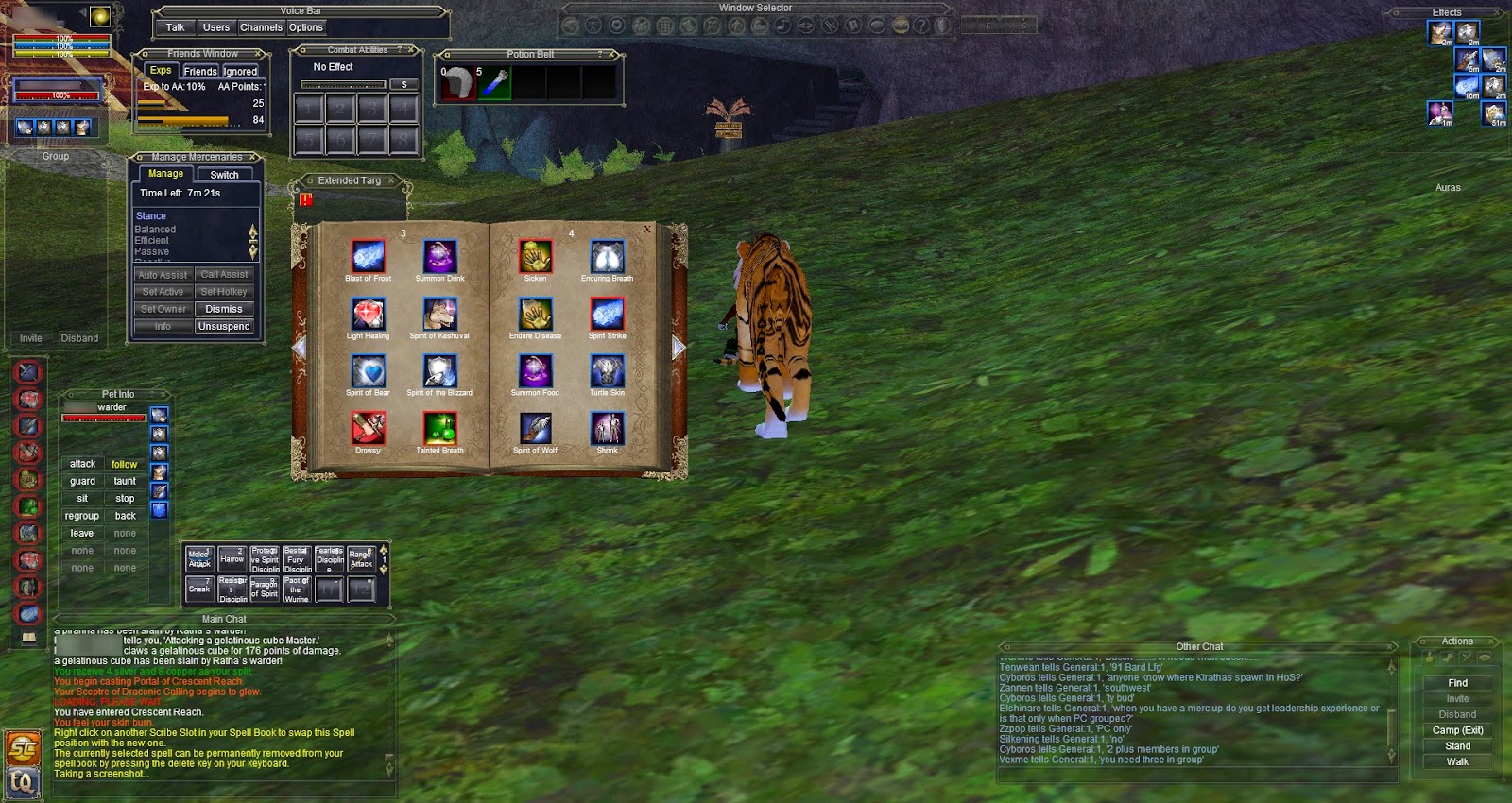 Everquest Original Ui
