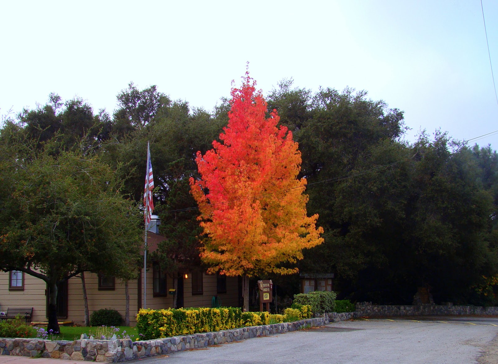 An Orange County Autumn
