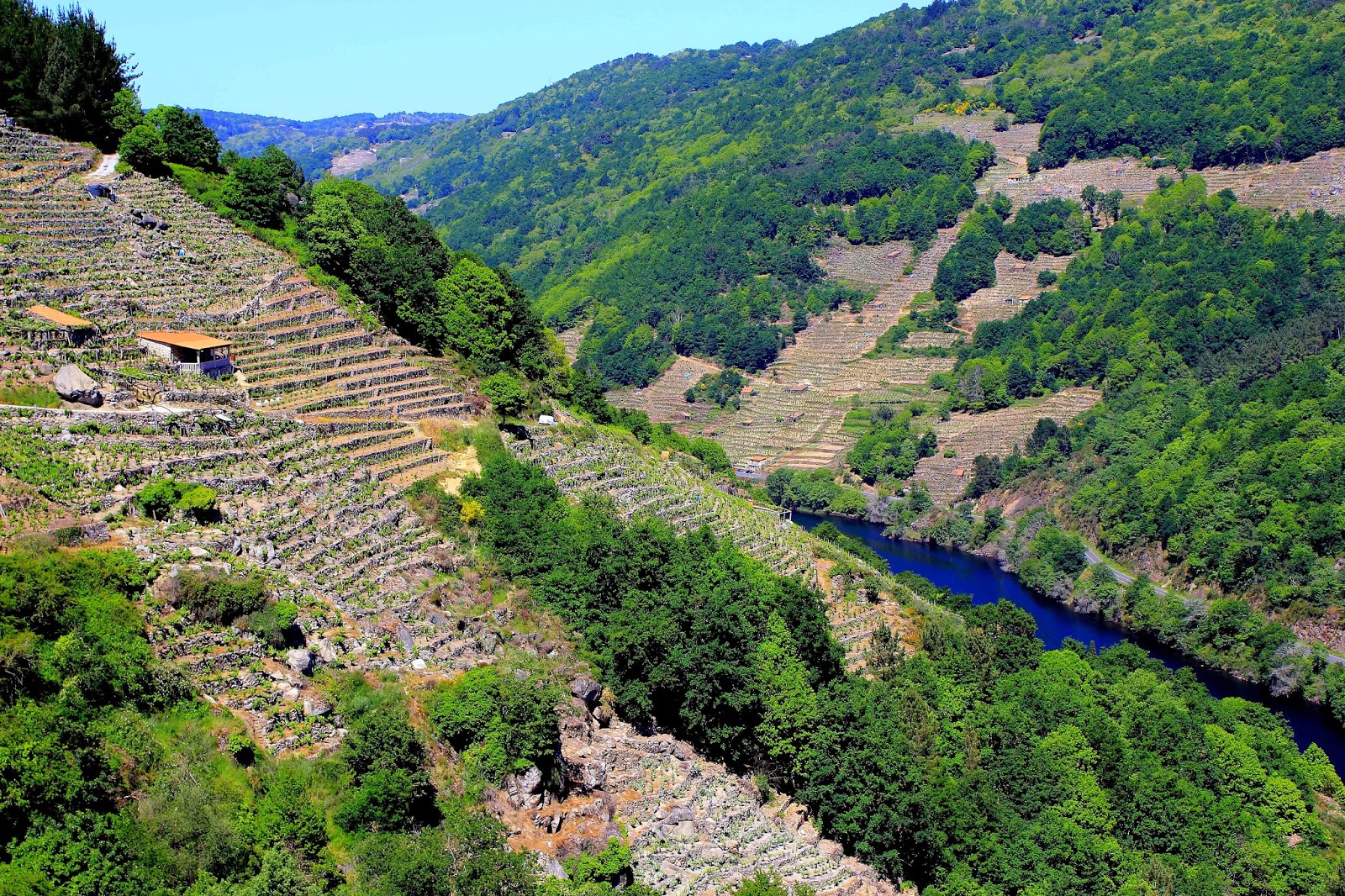 Enociencia : Ribeira Sacra, el Camino hacia la "Vinae Sacrata"