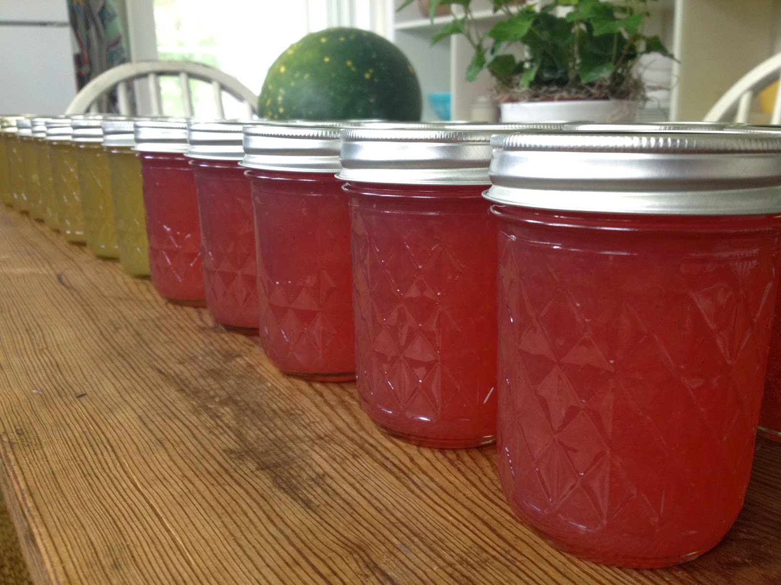Headspace: Muscadine and Scuppernong Jam