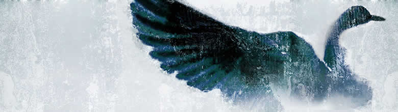 Blue Eyed Ennis: The Wild Goose and Symbols of The Holy Spirit