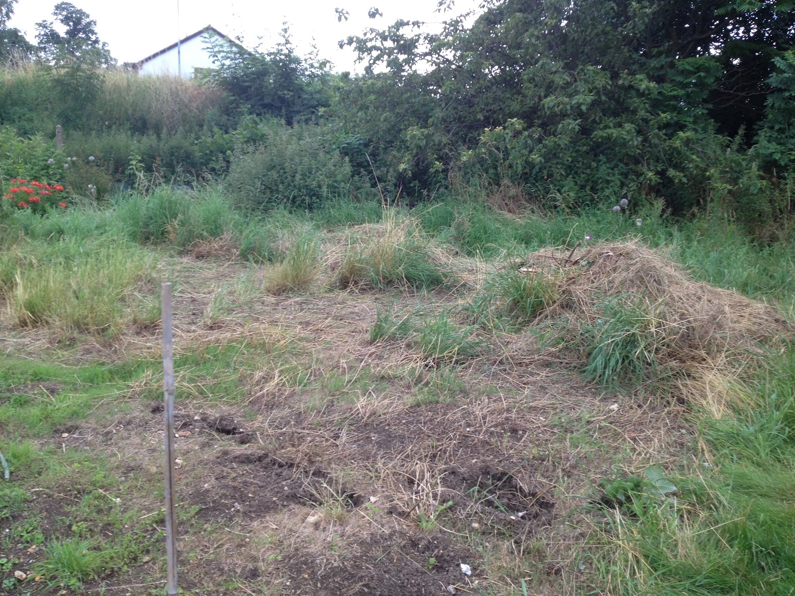 Digging my patch from scratch.......