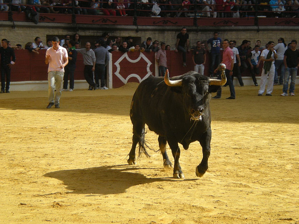 Blog Taurino Remellao : TORO EMBOLAO, LOS BARRIOS DOMINGO DE RESURRECCIÓN