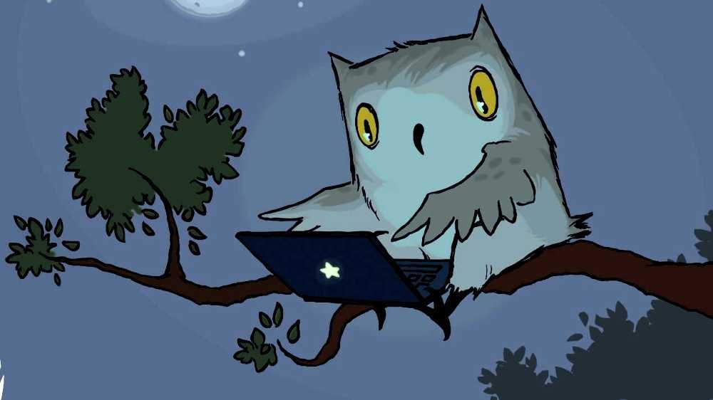 Night owl (person)