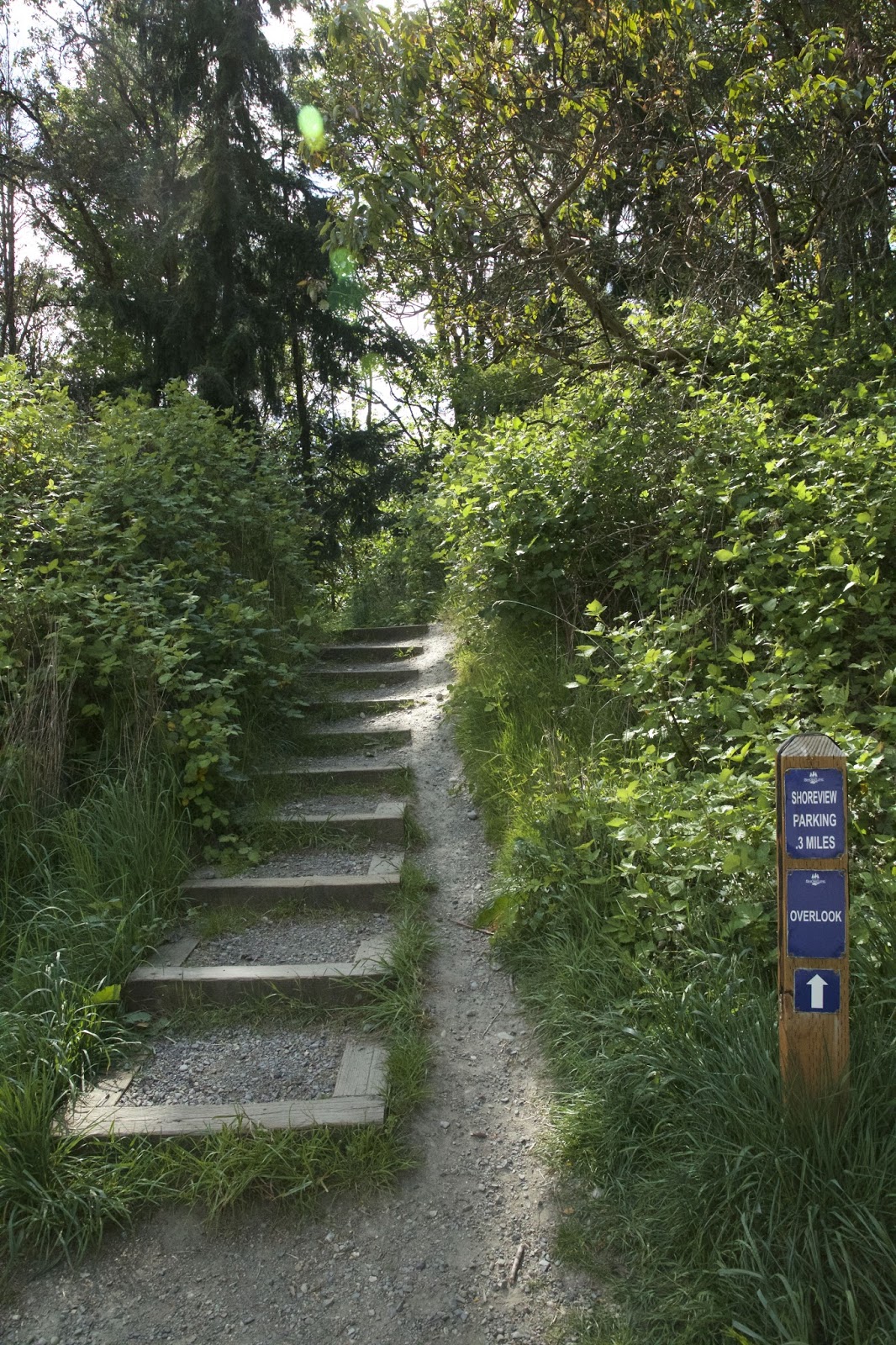 Shoreline Area News: Join Master Native Plant Sewards in Boeing Creek ...