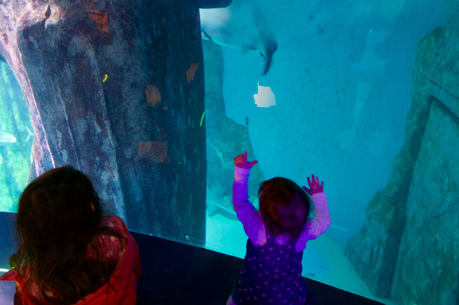 Ocean Invaders at the Sealife Aquarium London | Kerry Louise Norris