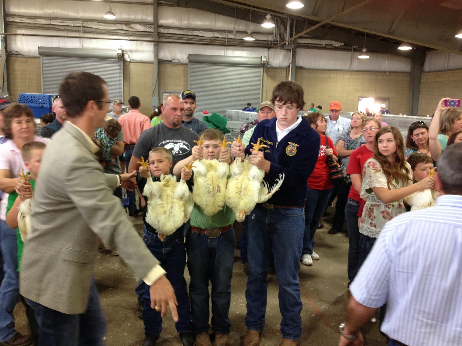 A Building We Shall Go!: Showing Broiler Chickens