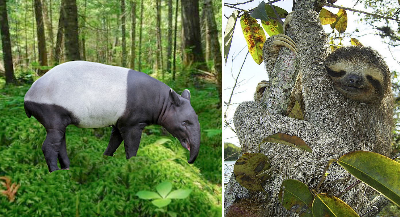 NephiCode: March 2019