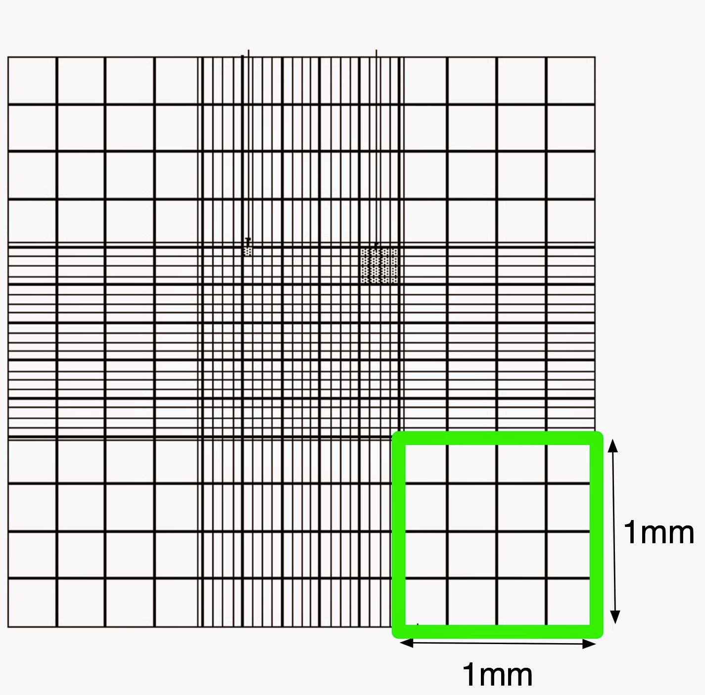Counting red blood cells calculation from practical 7