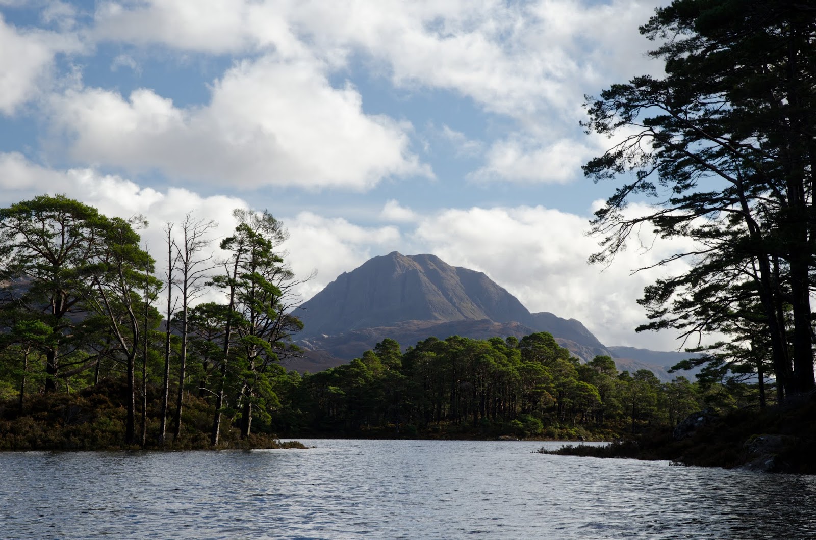 Mountain and Sea Scotland: The penny drops on Isle Maree