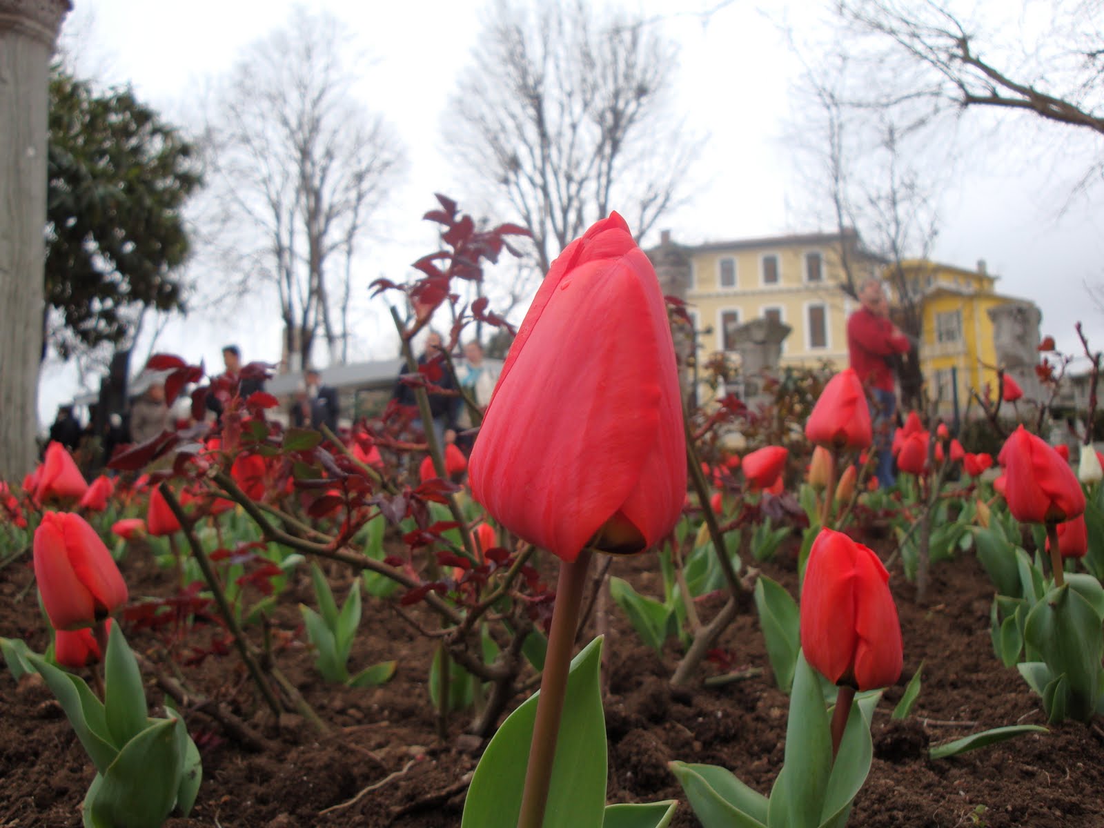 ΣΠΥΡΟΣ ΠΕΡΙΣΤΕΡΗΣ - ΤΟ ΑΗΔΟΝΙ ΤΗΣ ΜΗΤΡΟΠΟΛΕΩΣ ΑΘΗΝΩΝ: Μ. ΔΕΥΤΕΡΑ ΕΣΠΕΡΑΣ
