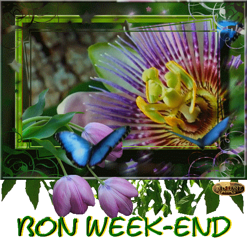 Zenattitude: Bon week end cool serein adorable et tranquille