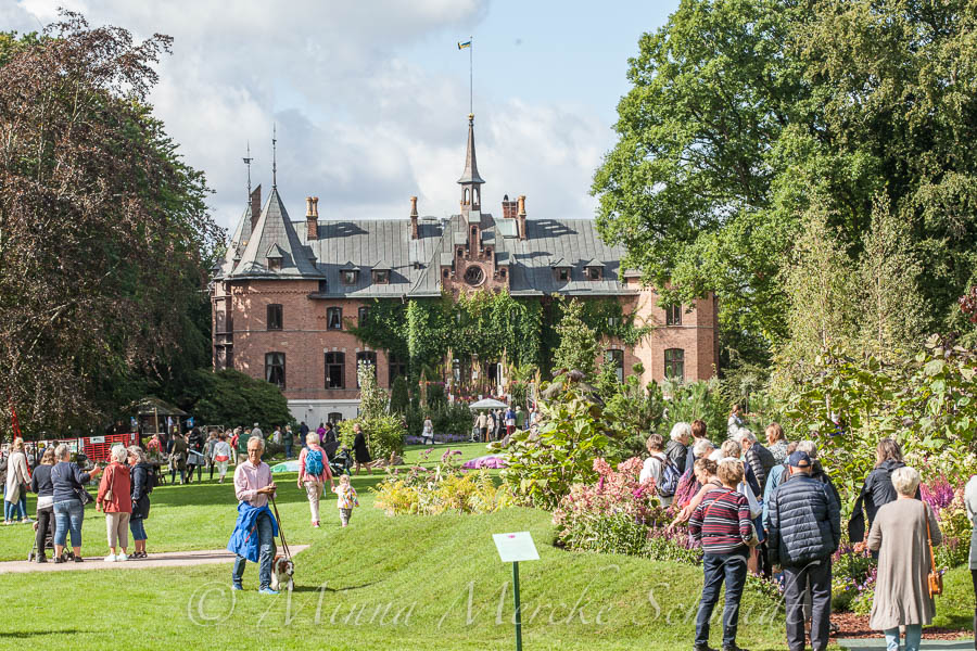Den stora trädgårdsfesten på Sofiero 2017