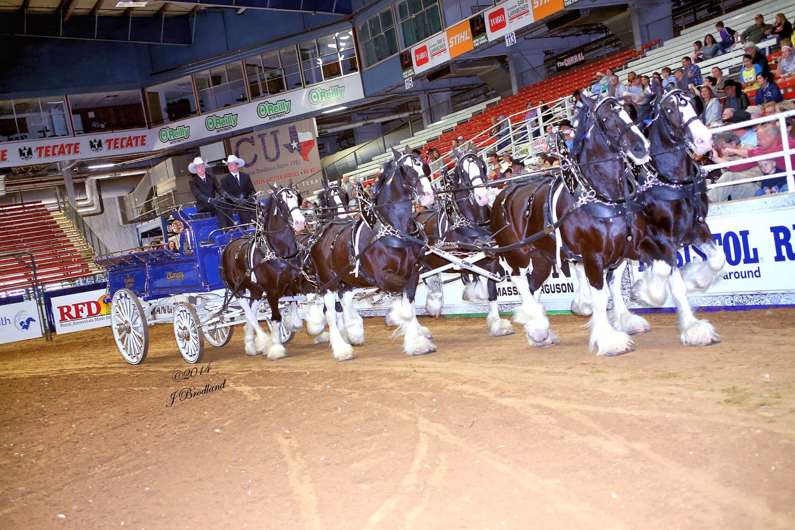 Eaglesfield Percherons: 2014 Gentle Giants $100,000 Invitational ...