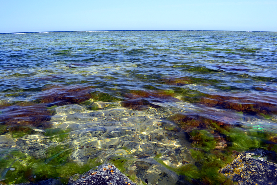 Pariwisata Terbaik di Afrika ng boranan ~ boranan