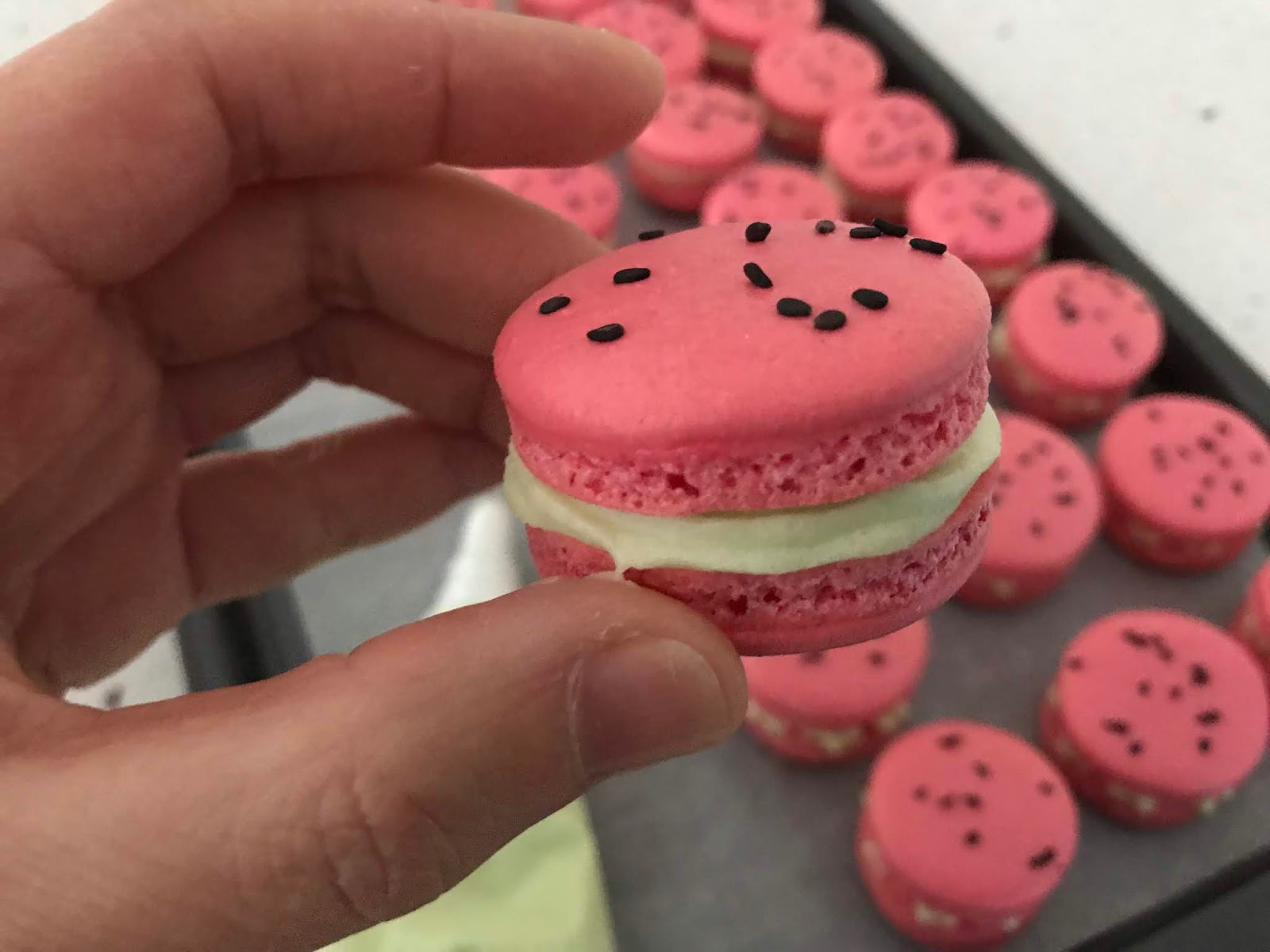 Watermelon Macarons
