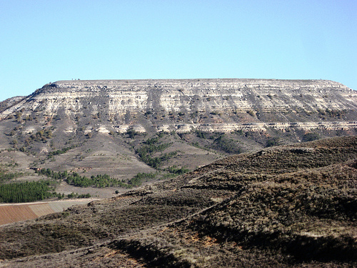 LUGAR VERDE: FORMAS ESTRUCTURALES ELEMENTALES Y PLEGADAS