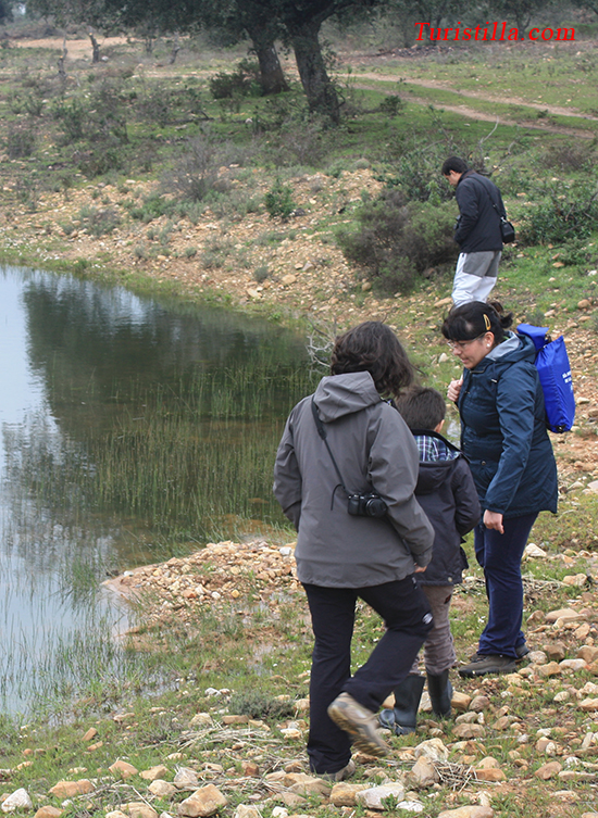 Turistilla.com: Turismo sostenible con Global Nature en la Dehesa El Baldío