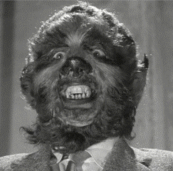 It Couldn't Happen Here...: Mark Dawidziak on "The Werewolf"