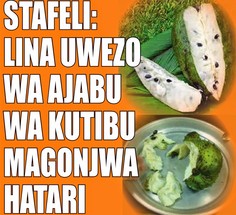 STAFELI: LINA UWEZO WA AJABU WA KUTIBU MAGONJWA HATARI ~ Mzizi Mkavu