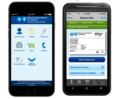 Valley Rubber Wellness Program: BCBS Info